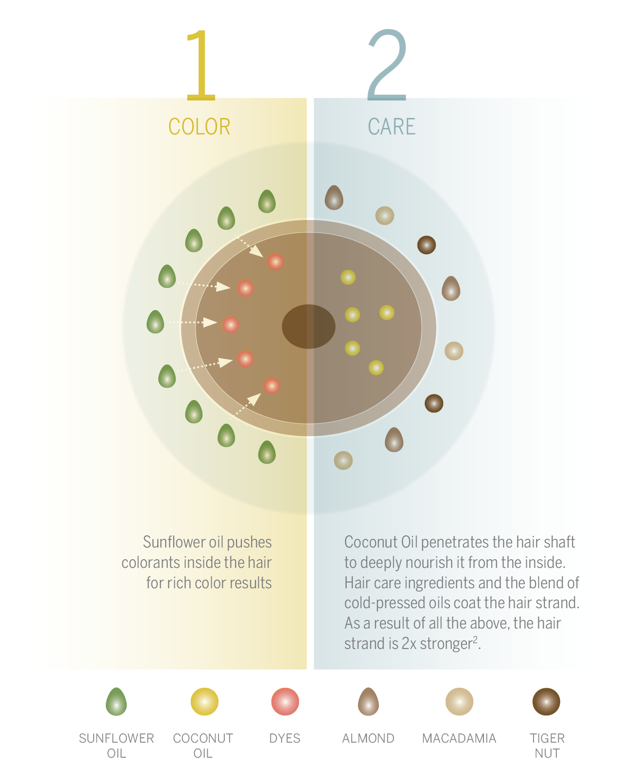 The Dual Action Vegan Color System for Revlonissimo Color Sublime ...